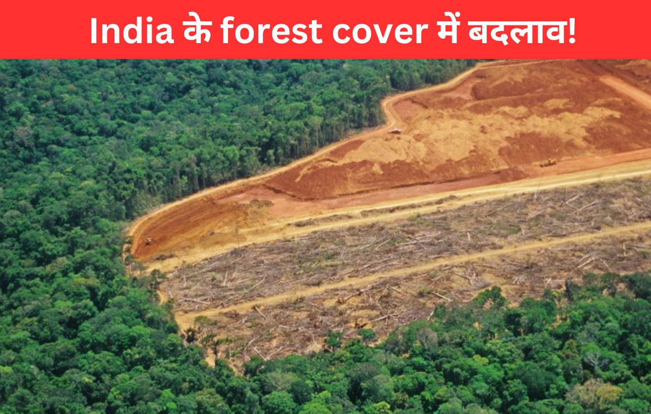 India Forest Cover Jungle Tak