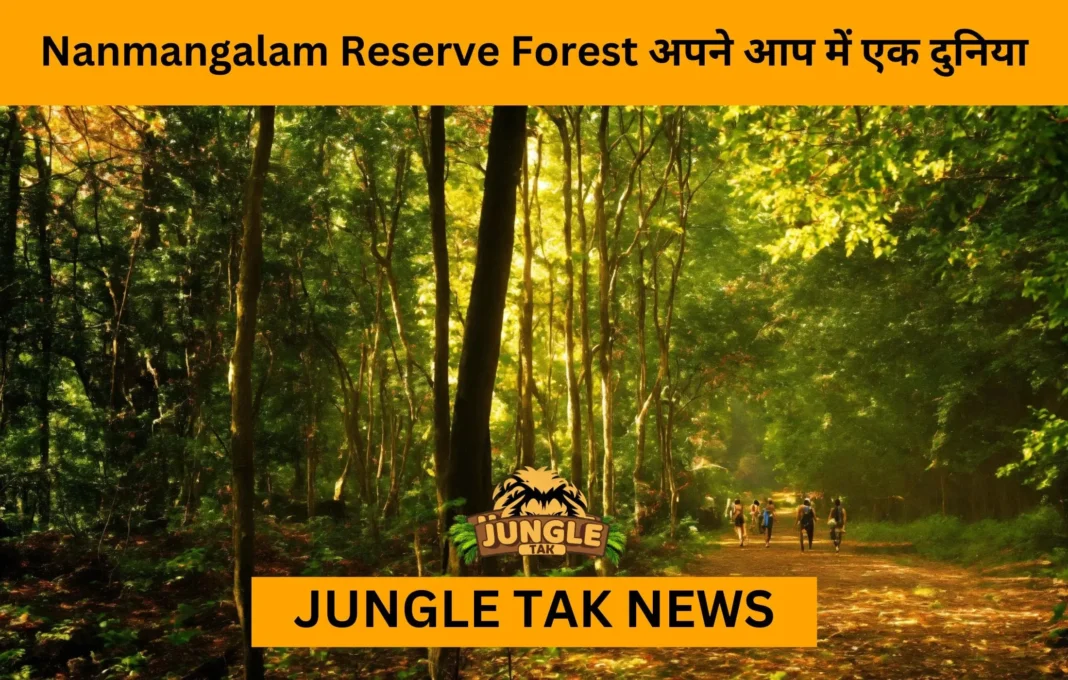Nanmangalam Reserve Forest अपने आप में एक दुनिया » Jungle Tak